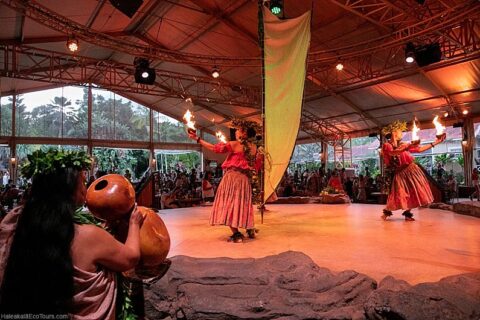 A Brief History of the Luau - Haleakala Ecotours