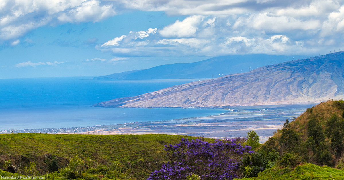 Our Favorite Upcountry Maui Spots To Visit - Haleakala Ecotours